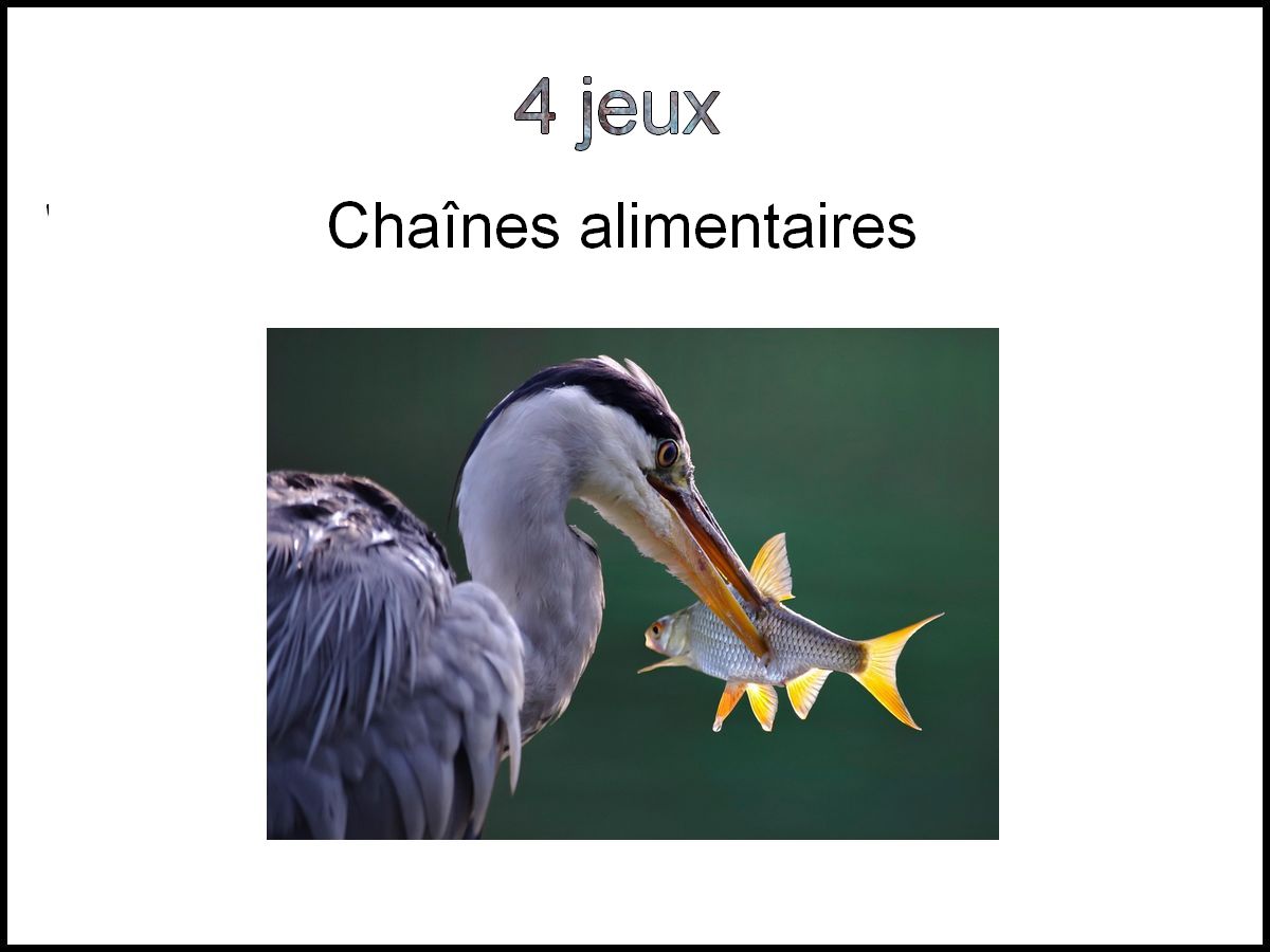 Jeu Chaines alimentaires
