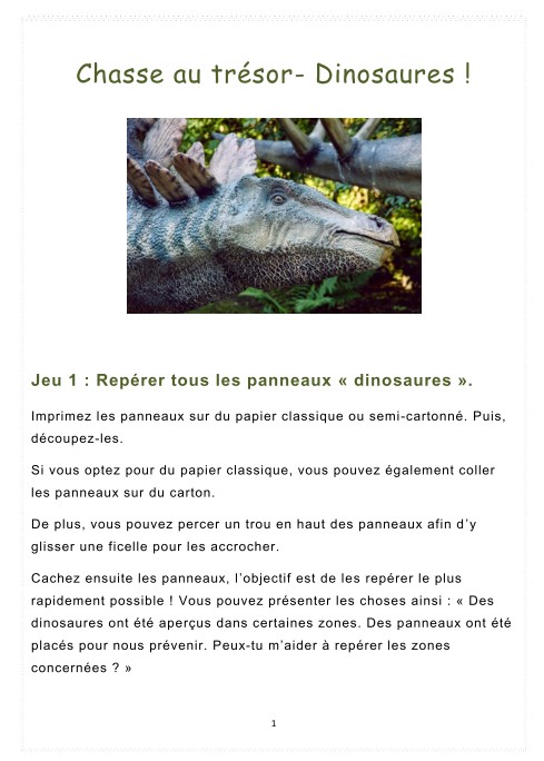 KIT Passion DINOSAURES (Jeux inclus)