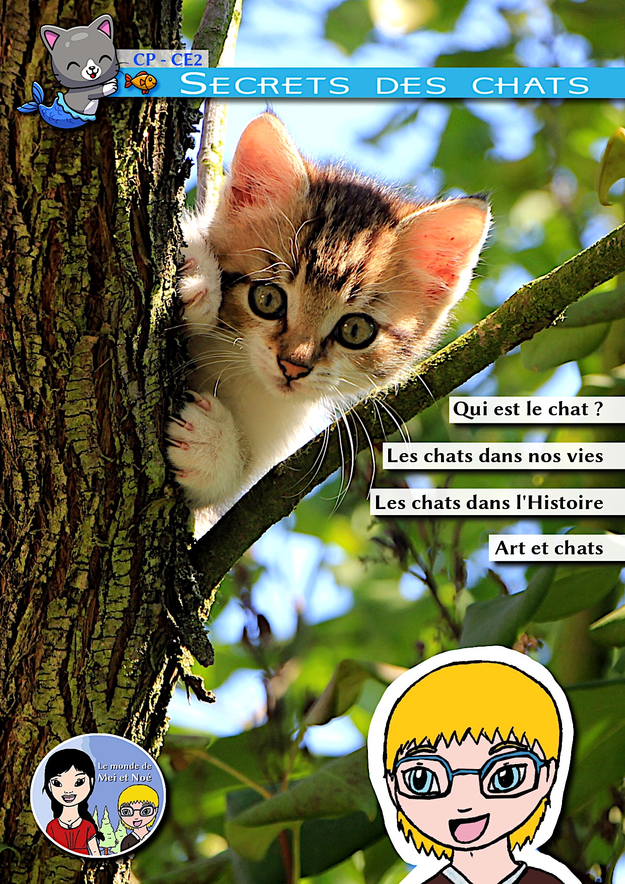 Kit Secrets des chats cycle 2 (CP à CE2)
