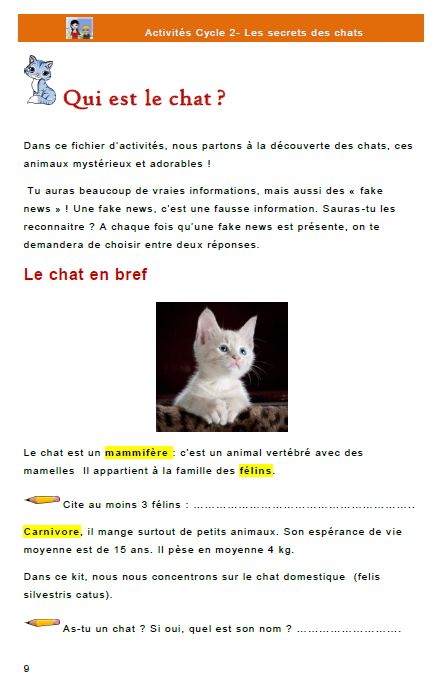 Kit Secrets des chats cycle 2 (CP à CE2)