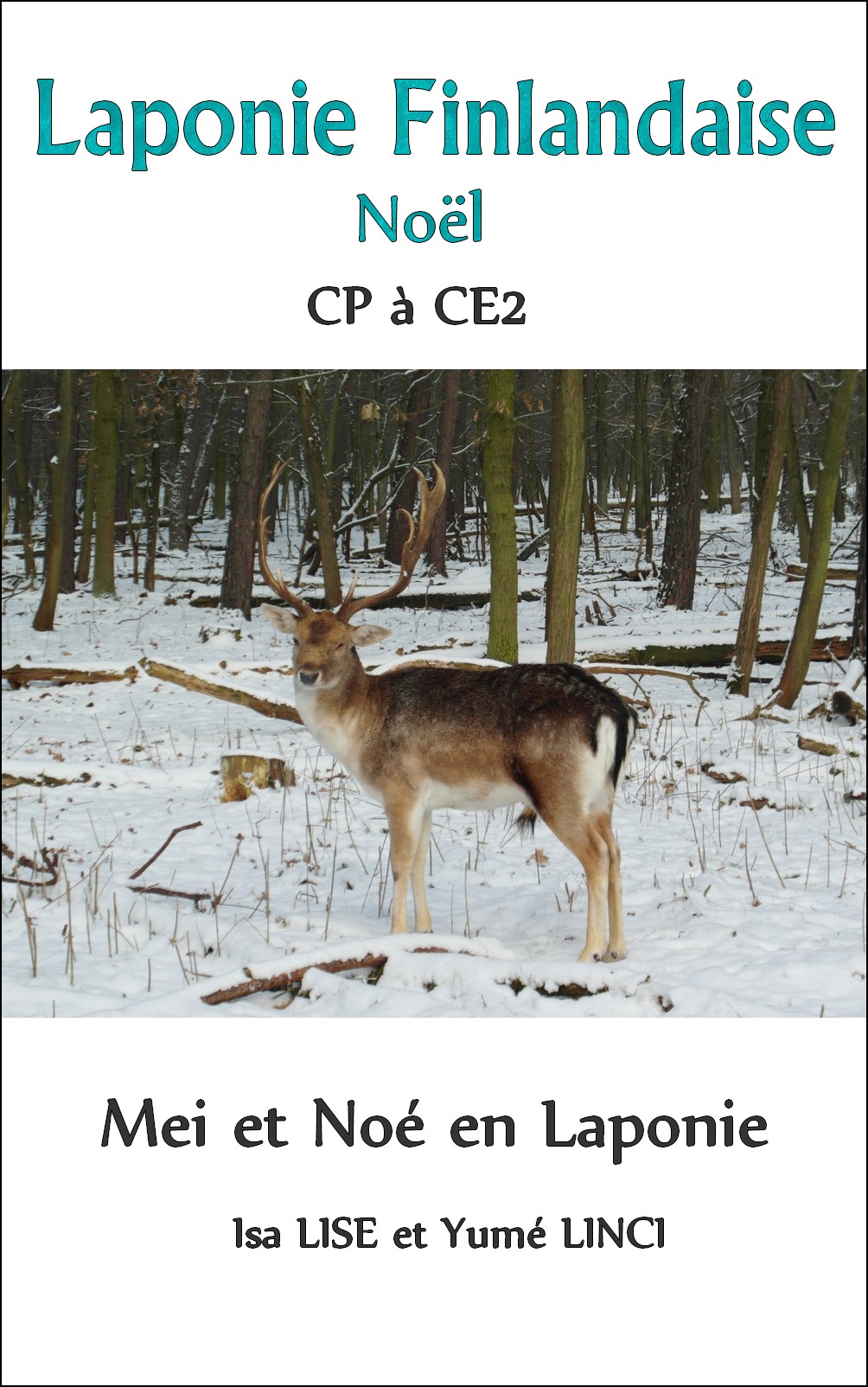 Kit LAPONIE et Noël - CP à CE2 + JEUX