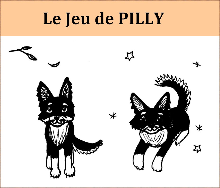 Le jeu de Pilly