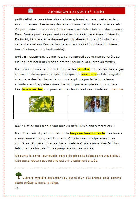 Au coeur des forêts - kit CM1 à 6e