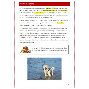 Kit Des chiens au top- CM1 à 6e